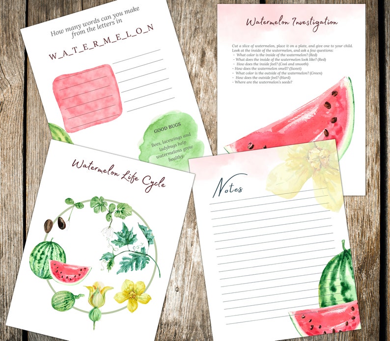 WATERMELON Unit Study Life Cycle Anatomy Nature Study - Etsy