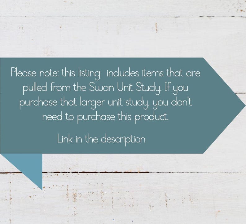 SWAN Life Cycle, Nature Study, Homeschool Printable, Instant Download ...