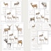 DEER Unit Study, Life Cycle, Anatomy, Nature Study, Science ...