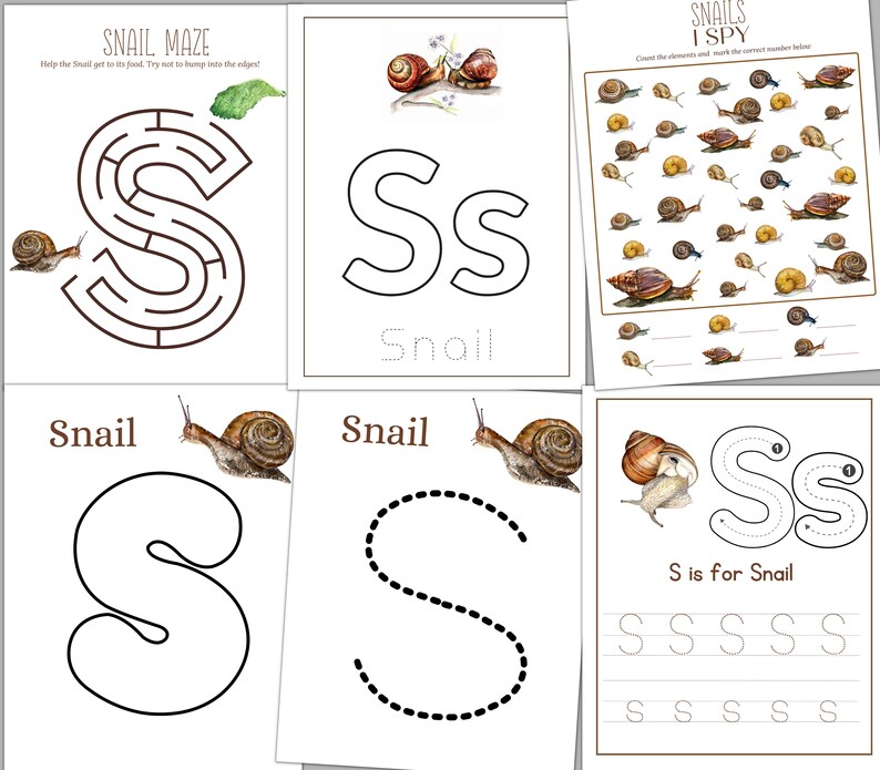 Snail Unit Study: Life Cycle, Anatomy, Homeschool Printable (instant ...