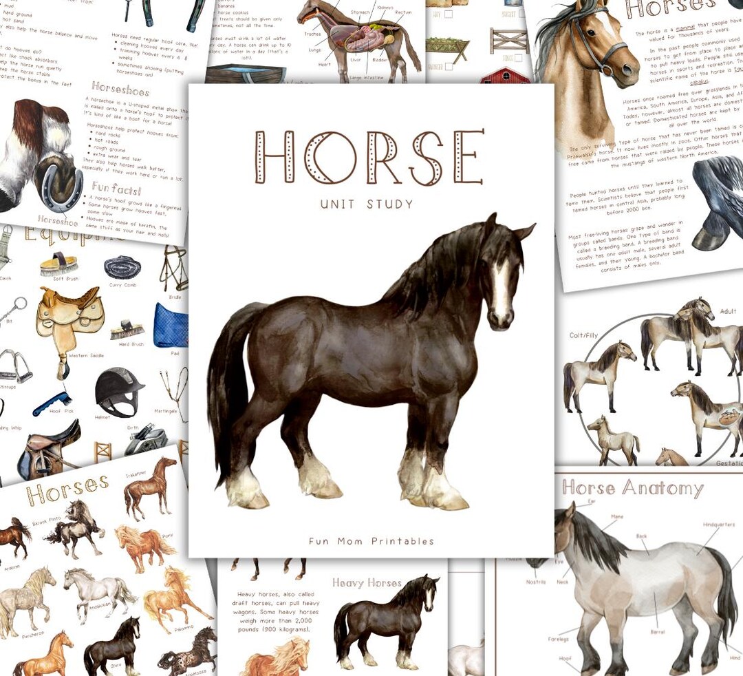 HORSE Unit Study: Nature Study and Activity Pack (homeschool Printable ...