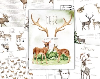 DEER Unit Study, Life Cycle, Anatomy, Nature Study, Science, Homeschool ...