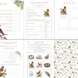 AMERICAN ROBIN Unit Study, Life Cycle, Anatomy, Nature Study, Science ...