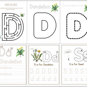 DANDELION Unit Study, Life Cycle, Anatomy, Nature Study, Science ...