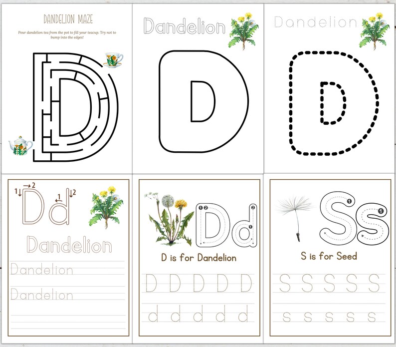 DANDELION Unit Study, Life Cycle, Anatomy, Nature Study, Science ...