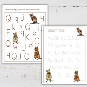 LETTER of the WEEK, Q is for Quokka, Letter Q Activities, Alphabet ...