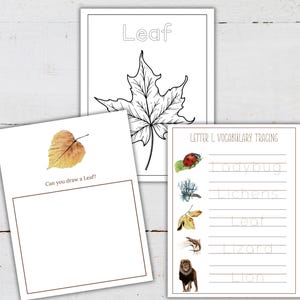 Letter L is for Leaf: Alphabet Learning Printable (instant Download) - Etsy