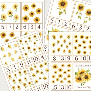 SUNFLOWER Unit Study, Life Cycle, Anatomy, Nature Study, Science ...