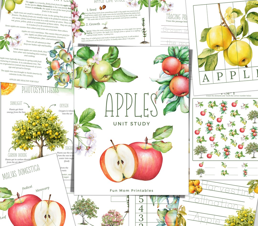 APPLE Unit Study, Life Cycle, Anatomy, Nature Study, Science ...