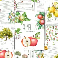 Apple Unit Study, Apple Anatomy and Life Cycle, Homeschool Printable ...