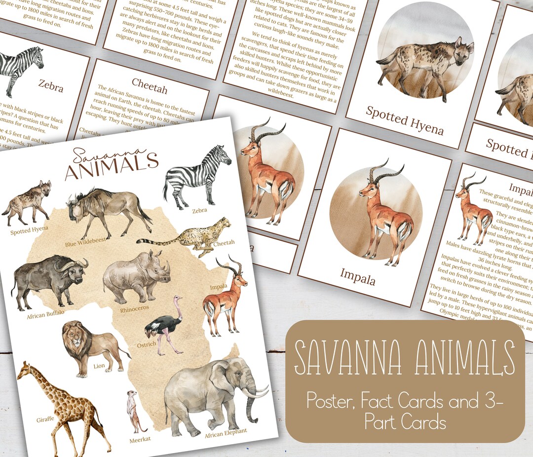 AFRICAN SAVANNA Animals Mini Poster + 3-part Cards + Fact Cards ...