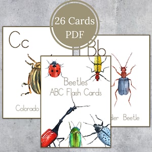 BEETLES Alphabet Flashcards. Watercolor Letter Cards. Kids Printable ...