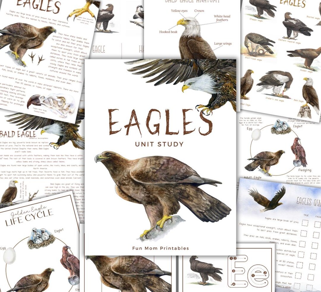 EAGLES Unit Study, Life Cycle, Anatomy, Nature Study, Science ...