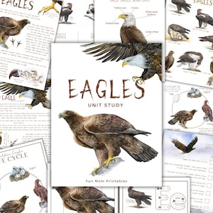 Eagles Unit Study: Life Cycle, Anatomy, Homeschool Printable (instant ...