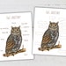 OWLS Unit Study, Life Cycle, Anatomy, Nature Study, Science ...