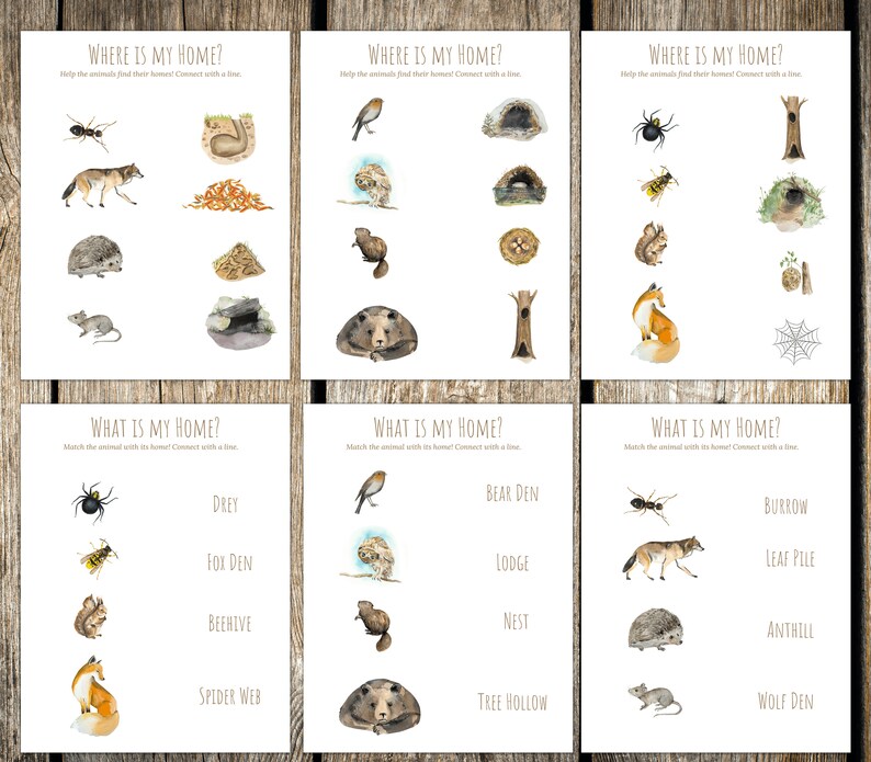 ANIMAL HOMES Unit Study Nature Study Science Handwriting - Etsy