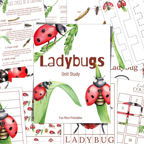 Ladybug - Etsy