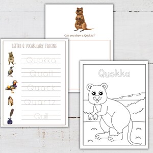 LETTER of the WEEK, Q is for Quokka, Letter Q Activities, Alphabet ...