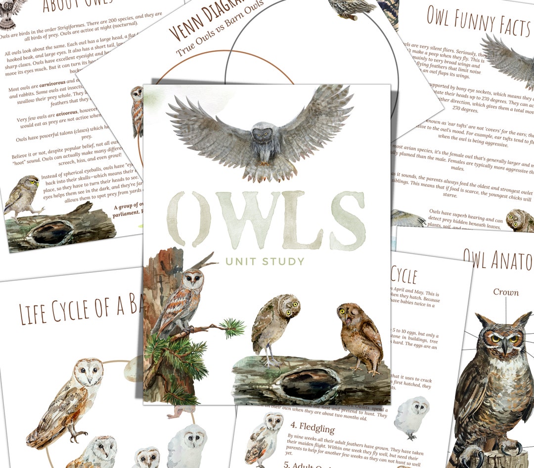 OWLS Unit Study, Life Cycle, Anatomy, Nature Study, Science ...