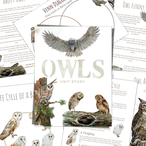 OWLS Unit Study Life Cycle Anatomy Nature Study Science - Etsy