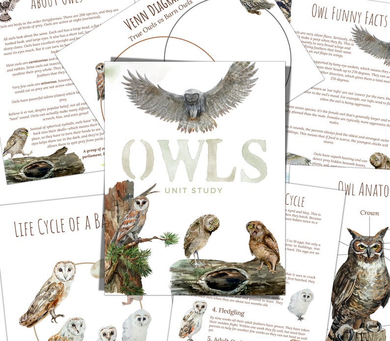 OWLS Unit Study Life Cycle Anatomy Nature Study Science - Etsy