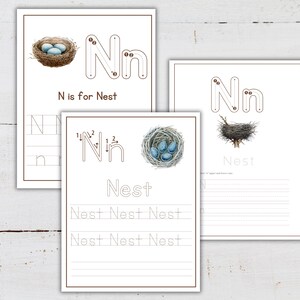 LETTER of the WEEK, N is for Nest, Letter N Activities, Alphabet ...