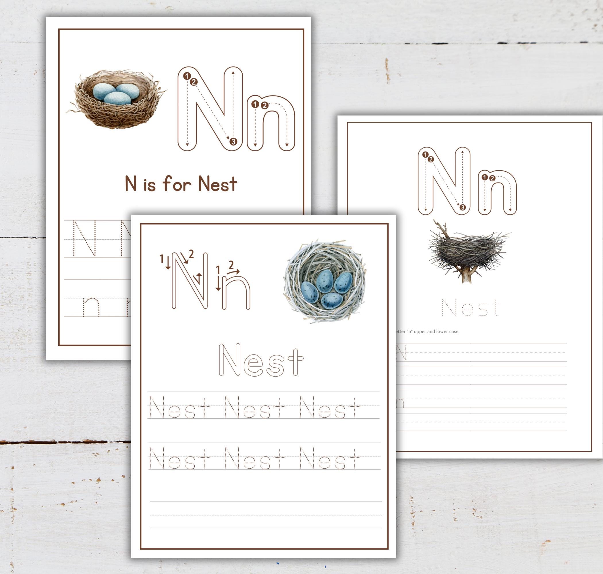 Letter N is for Nest: Alphabet Learning Printable (digital Download) - Etsy