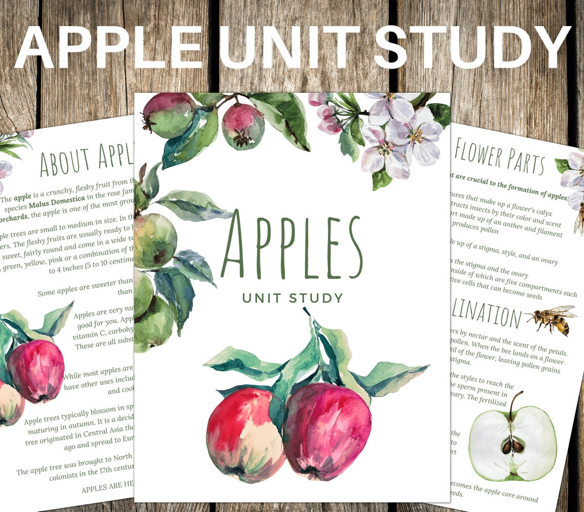 APPLE Unit Study Life Cycle Anatomy Nature Study Science - Etsy