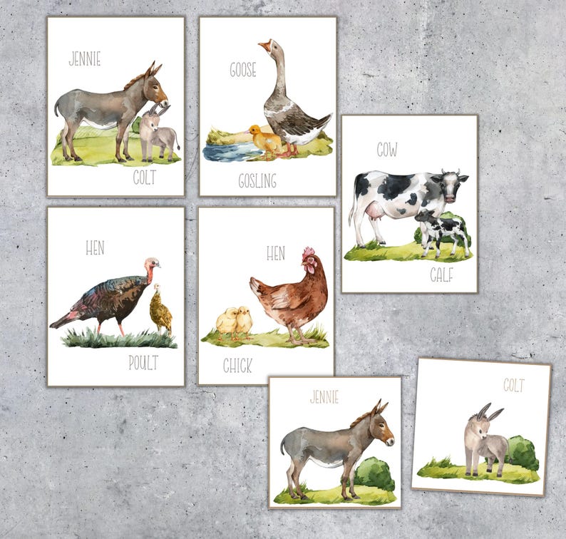 Farm Animal Moms & Babies Flashcards: Montessori Activity (instant ...