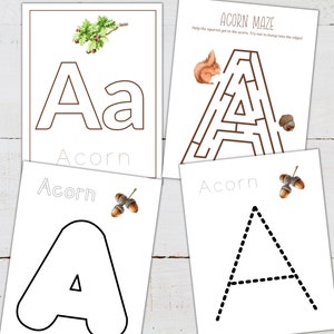 LETTER of the WEEK, A is for Acorn, Letter A Activities, Alphabet ...