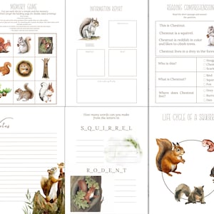 SQUIRREL Unit Study, Life Cycle, Anatomy, Nature Study, Science ...