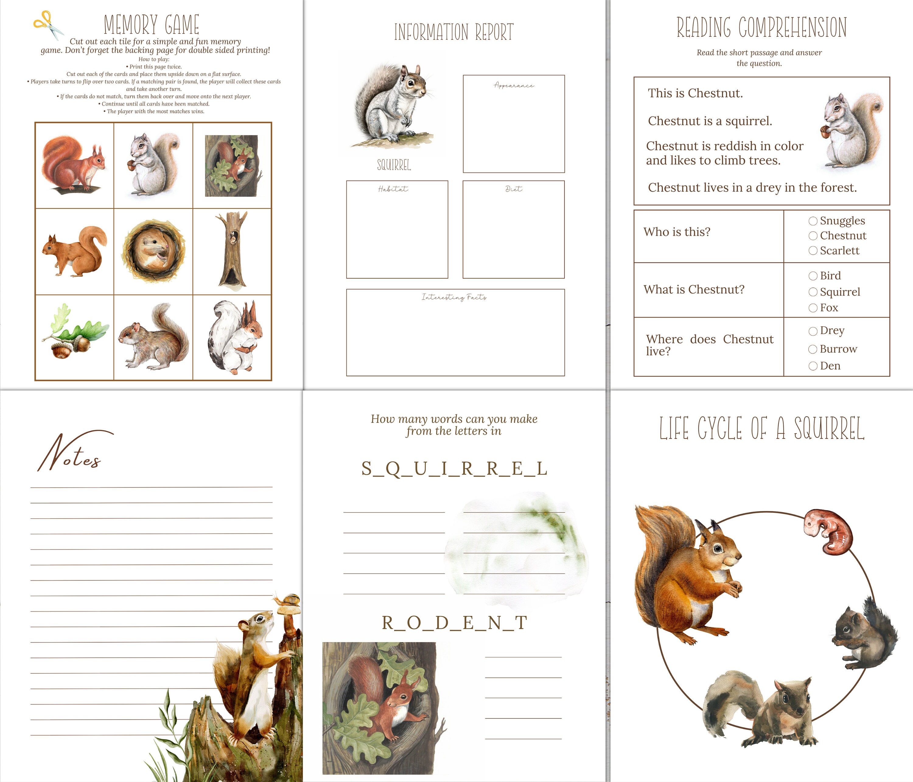 Squirrel Unit Study: Anatomy, Life Cycle, Homeschool Printable (instant ...