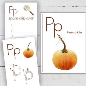 LETTER of the WEEK, P is for Pumpkin, Letter P Activities, Alphabet ...