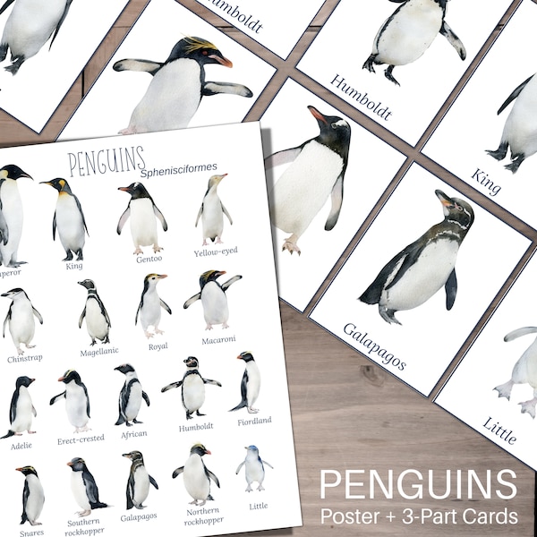 Penguins - Etsy