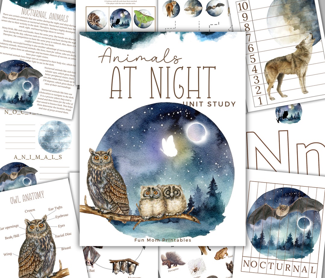 Nocturnal Animals Unit Study: Anatomy, Life Cycle, & Handwriting ...