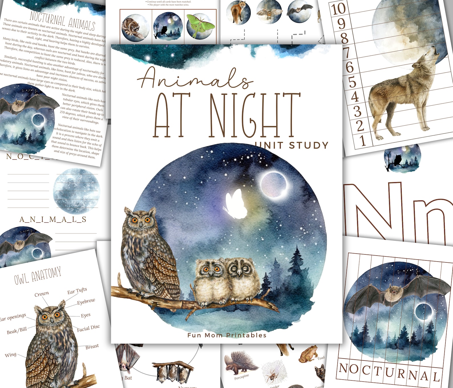 Nocturnal Animals Unit Study: Anatomy, Life Cycle, & Handwriting ...