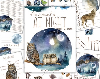 BAT Life Cycle, Nature Study, Homeschool Printable, Instant Download - Etsy