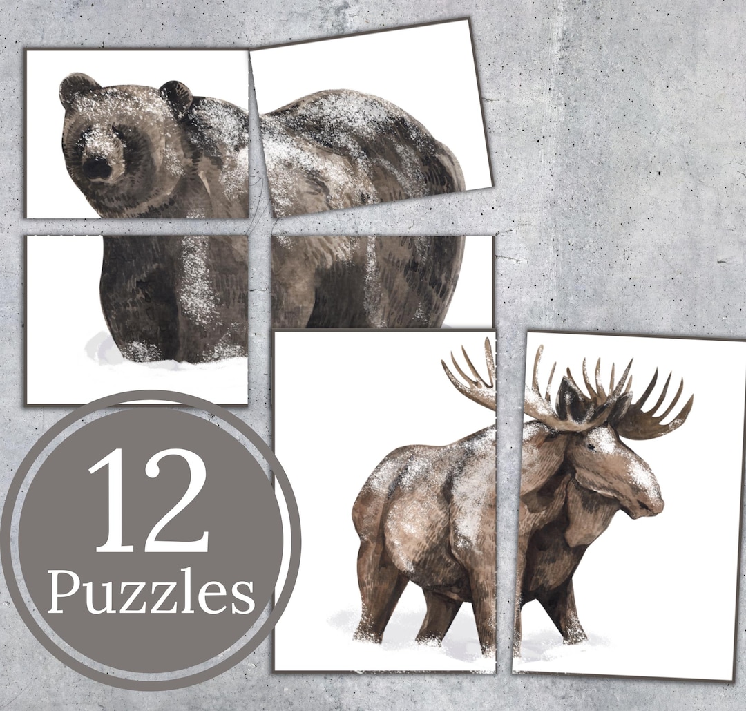 Winter Forest Animals Matching Cards Game, Symmetry Puzzle, Toddler ...