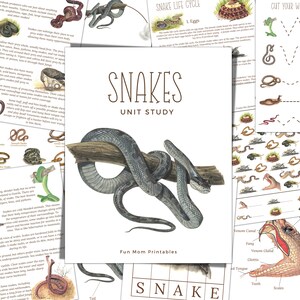 Reptiles Unit Study Bundle: Snakes, Crocodile, Sea Turtle (homeschool ...