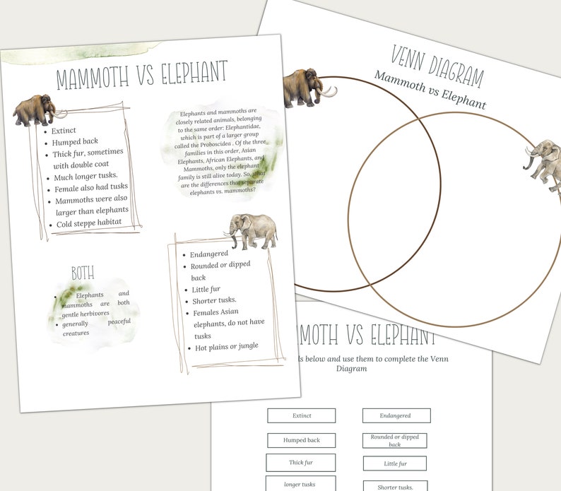 ICE AGE Unit Study Nature Study Science Handwriting - Etsy