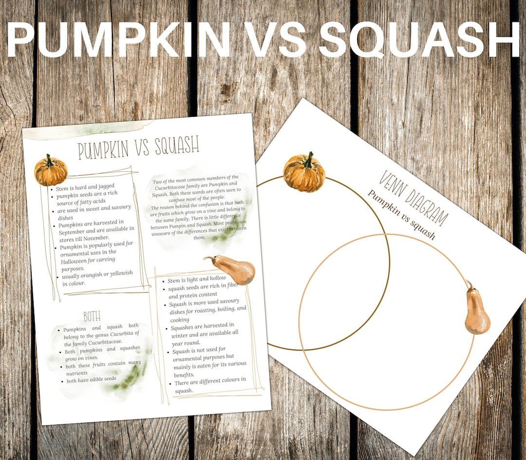 PUMPKIN Vs SQUASH Venn Diagram Activity, Homeschool, Montessori ...
