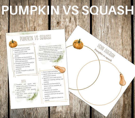 PUMPKIN Vs SQUASH Venn Diagram Activity Homeschool - Etsy