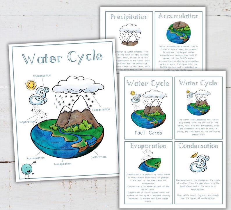 WATER CYCLE Mini Unit Study (printable PDF) - Etsy Canada