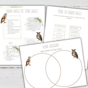Owls Unit Study: Life Cycle, Anatomy, Homeschool Printable (INSTANT ...