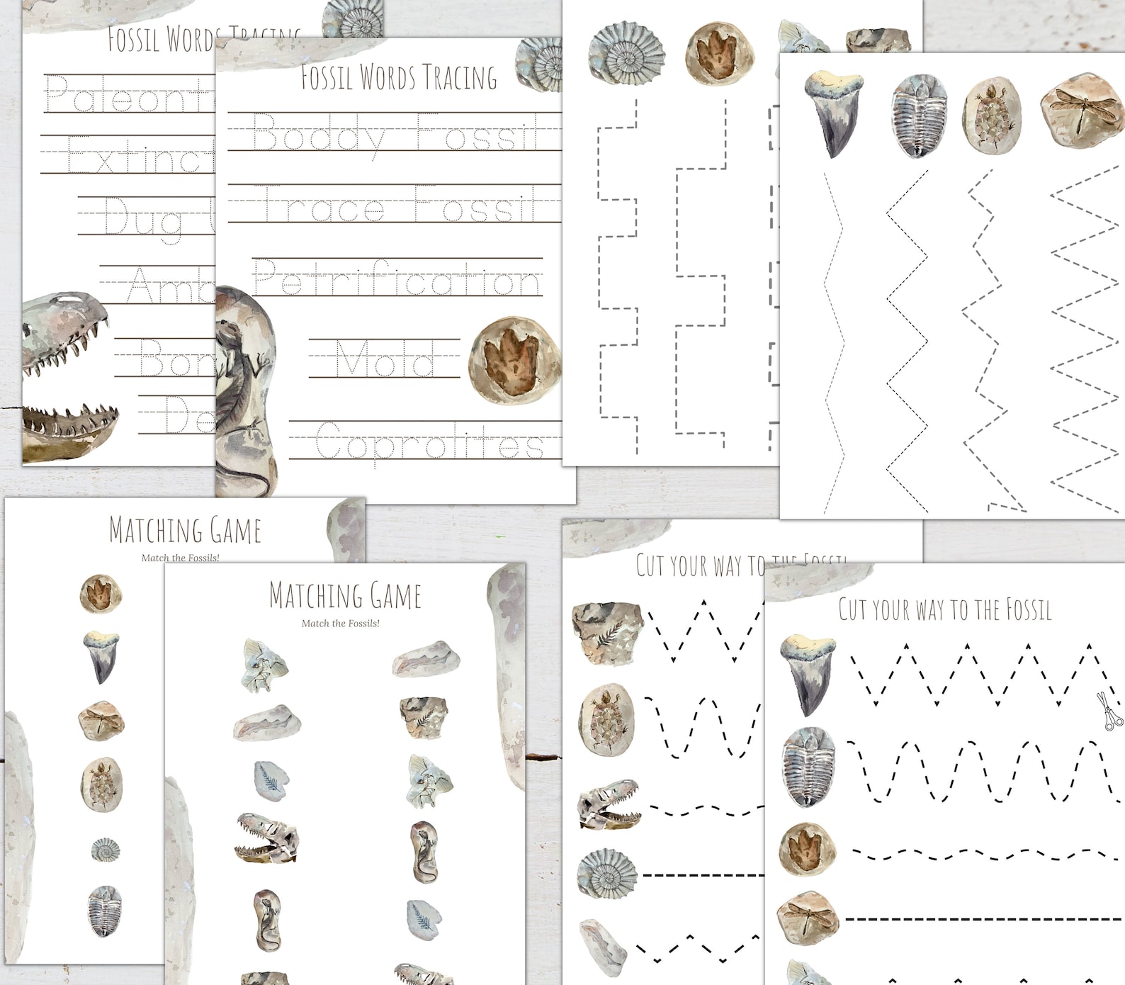 FOSSILS Unit Study, Anatomy, Nature Study, Science, Handwriting ...
