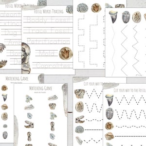 FOSSILS Unit Study, Anatomy, Nature Study, Science, Handwriting ...