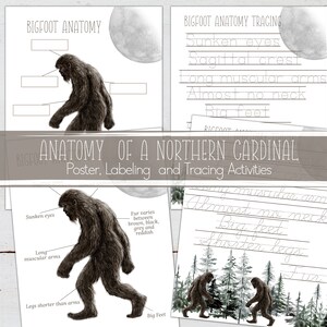 BIGFOOT Unit Study, Sasquatch, Anatomy, Nature Study, Science ...