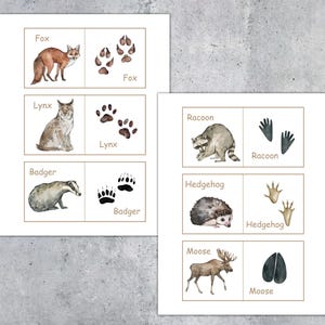 WOODLAND ANIMALS Tracks, Flashcards and Matching Activities, Instant ...