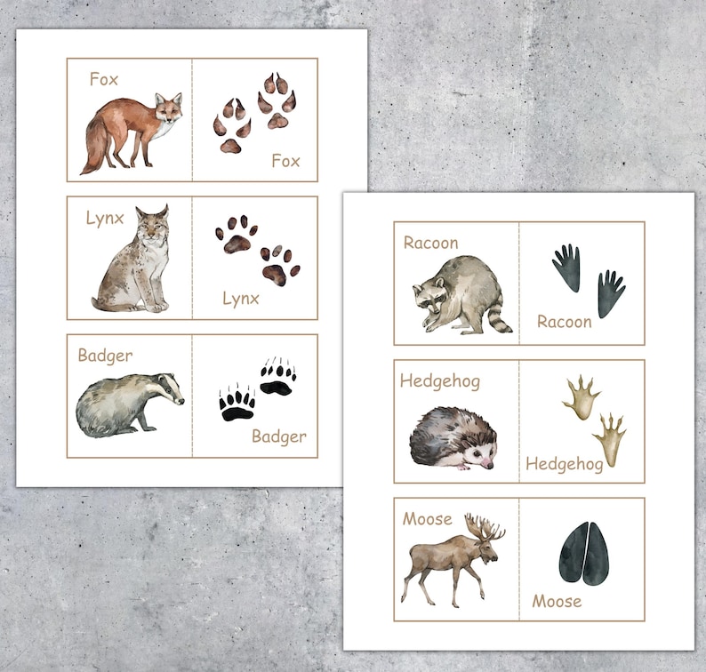 WOODLAND ANIMALS Tracks, Flashcards and Matching Activities, Instant ...
