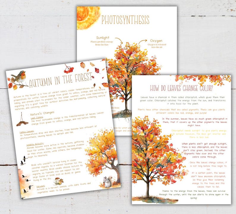 Autumn in the Forest Unit Study: Nature Study and Activities, Instant ...